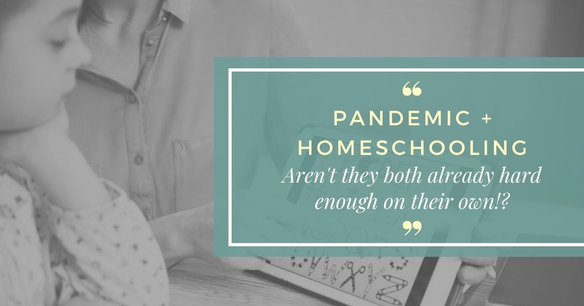 Homeschooling During A Pandemic | The Pause Pursuit